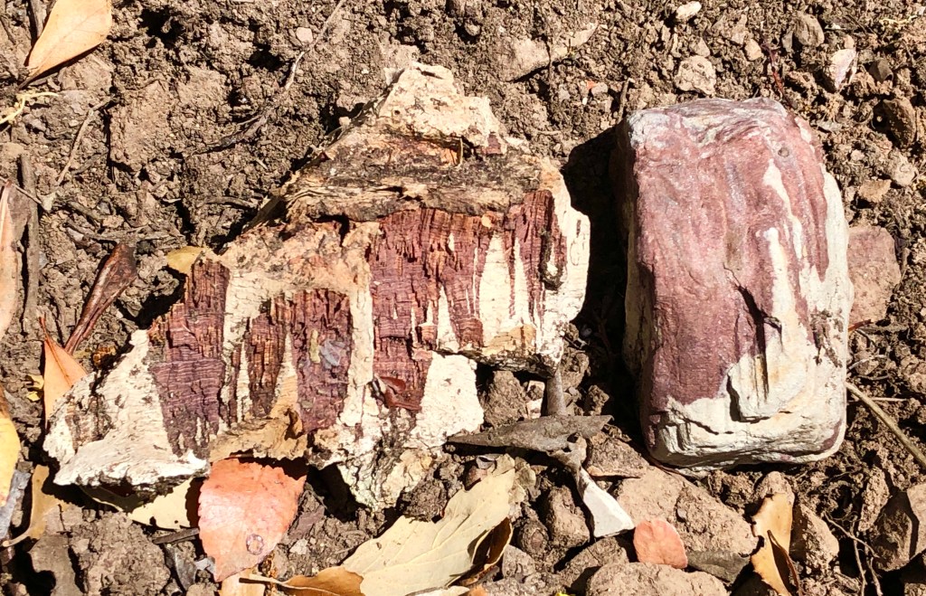 The Future?!?! – Sensible Universe