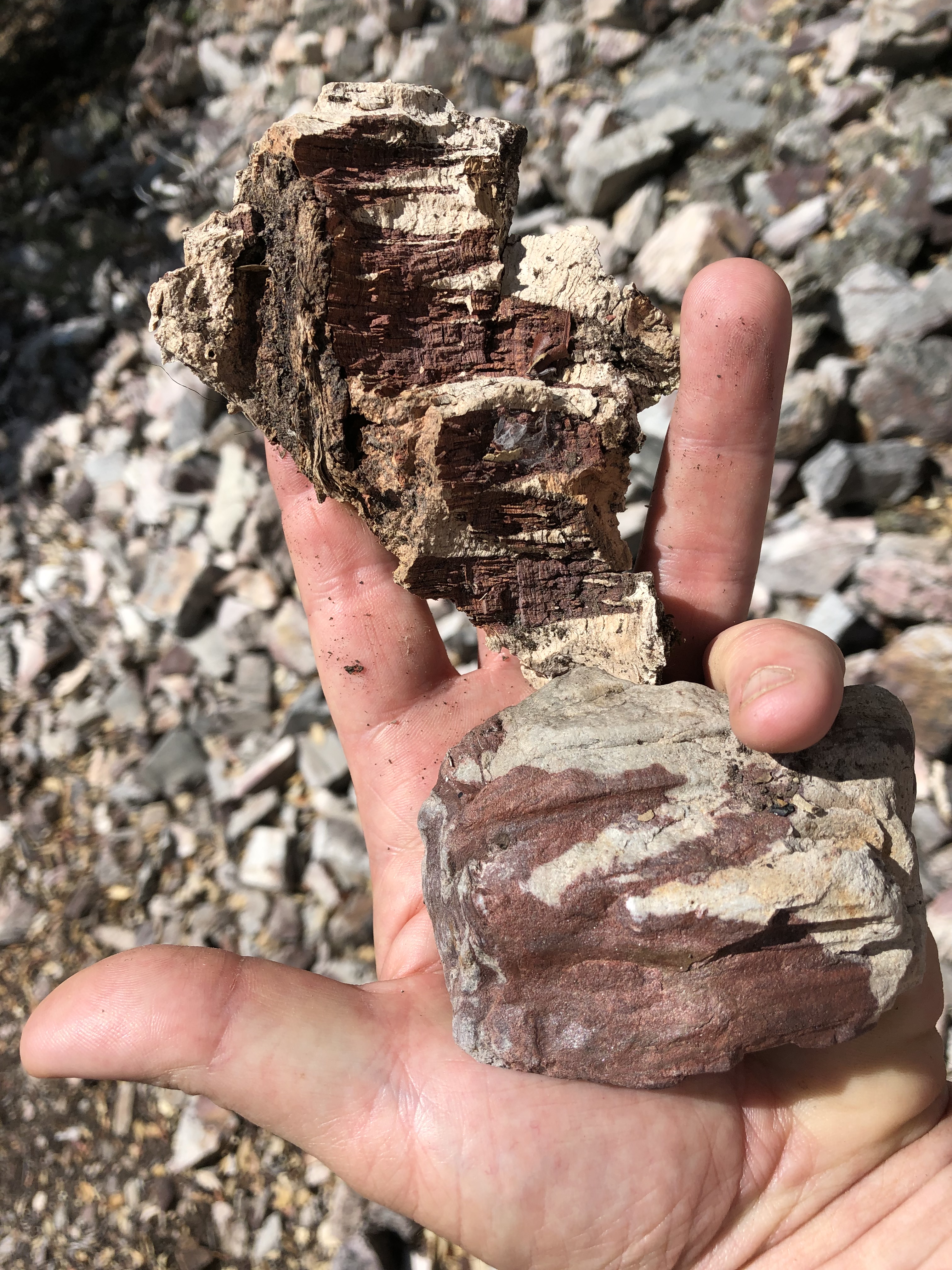 The Future?!?! – Sensible Universe